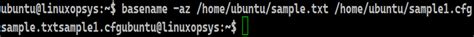 How To Extract Filename From Absolute Path In Bash
