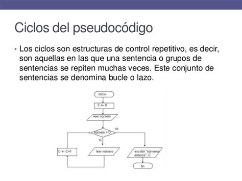 Palabras Mudas Algoritmo Y Pseudocodigo