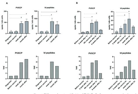 Elispot Test For Patients 12os A And 7t B The T Cell Response Is