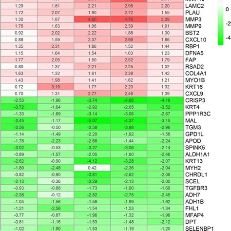 Identification Of Degs Among Each Geo Dataset The Expression Heat Map Download Scientific