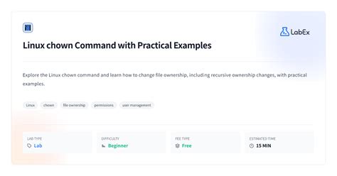 Linux Chown Command With Practical Examples Labex