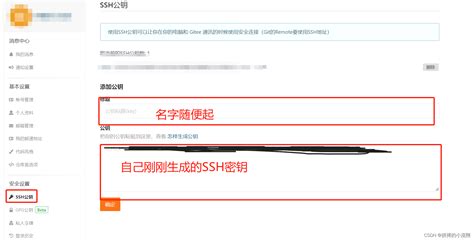git的基本操作，大文件上传（码云和github）和出现error处理 git 大文件上传 csdn博客