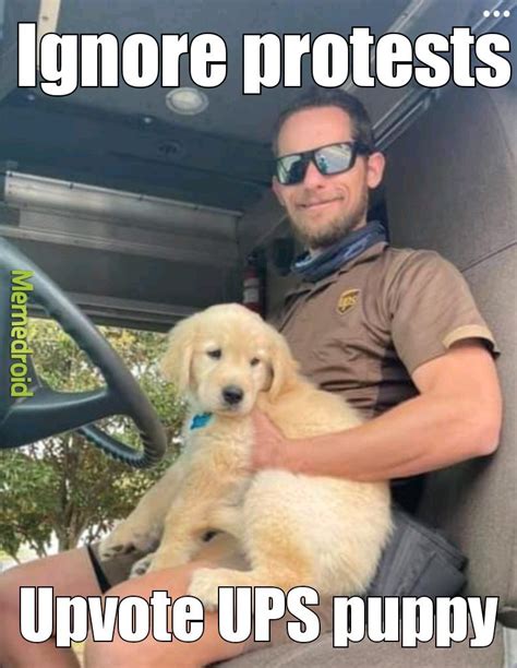 Too Cute Meme Subido Por Shrimpready Memedroid