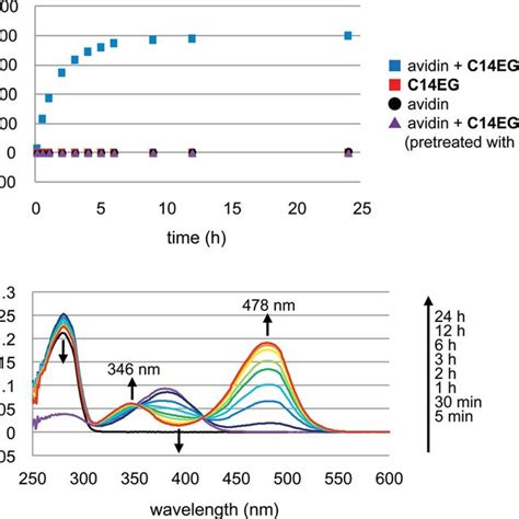 Kosuke Dodo Senior Research Scientist Phd Riken Wako Riken Aics Center For