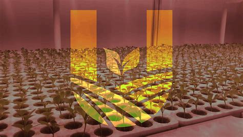 agriculture urban cultivation i verticall farming