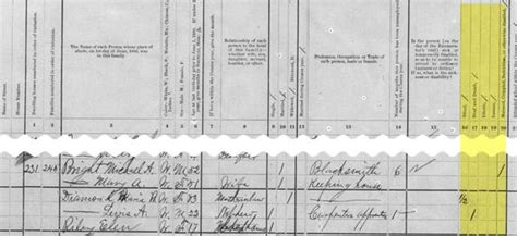 5 Hidden Clues In The Us Census 1880 Census Data 1880 Census Online