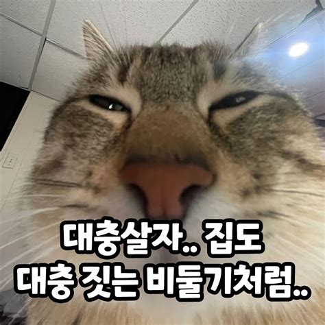 미친유머 빌런들도 개강하겠지 유머짤 짤모음 웃음 웃긴짤 좋아요 웃짤 웃긴모음 유머그램 힐링스타그램 공유 Instagram