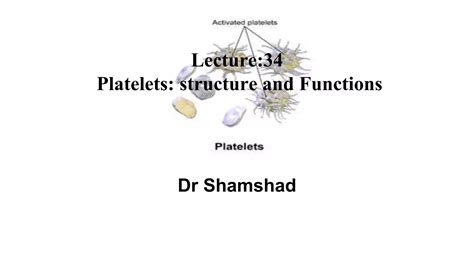 Platelet Structure And Function PPTX