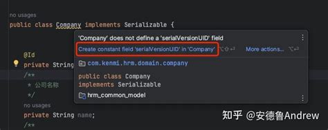 IDEA 自动生成序列号 知乎