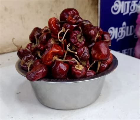 Boriya Dry Red Chilli At ₹ 210kg Dry Red Chilli In Kamuthi Id