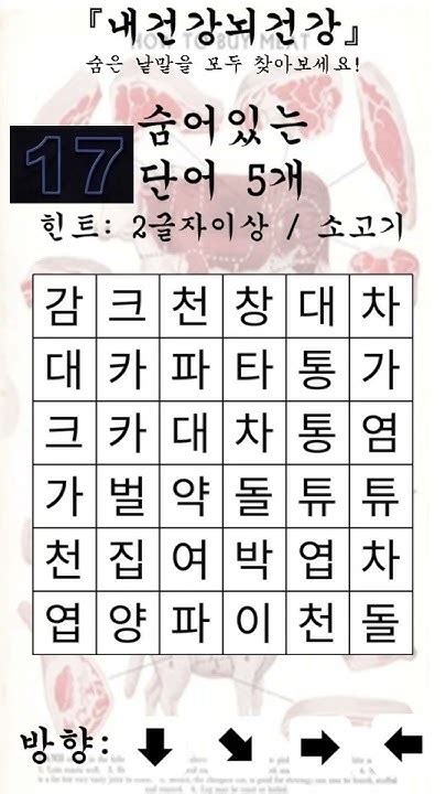 하루 1분 당신의 뇌건강에 투자하세요 숨은 낱말 찾기 331 퀴즈 숨은낱말찾기 낱말퍼즐 소고기 Youtube