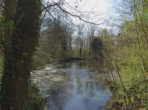 Das Wasser Natur Landschaft Kostenloses Foto Auf Pixabay Pixabay