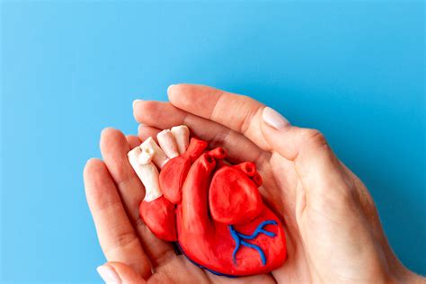 Understanding Heart Block Medical Associates Of Northwest Arkansas