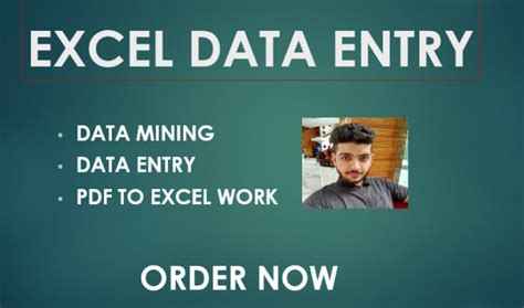 do excel data entry data mining data formatting and pdf to excel