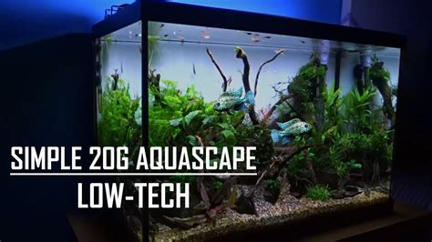 Nano Reef Tank Aquascape Aquascape Ideas