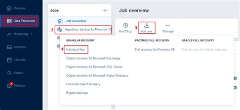 Agentless Proxmox Backup Nakivos Step By Step Guide