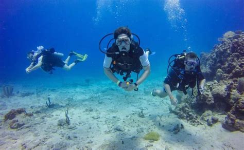 Punta Cana Scuba Diving Adventure To Catalina Island