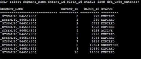 憂鬱的淡藍色天空 82 Oracle Undo Segment