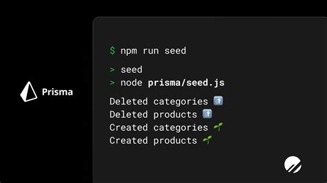 how to seed a database with prisma and next js