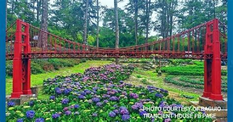 Botanical Garden Baguio Entrance Fee 2019 | Fasci Garden