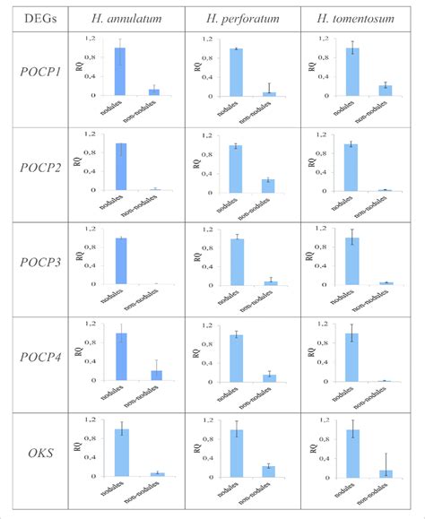 Quantitative Real Time Polymerase Chain Reaction Qrt Pcr Validation Download Scientific