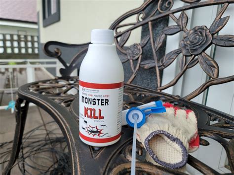 마당에 벌레 퇴치는 몬스터 킬 지네 퇴치지네약돈벌레 퇴치베드버그 퇴치제권연벌레 퇴치뿌리는 바퀴벌레약 네이버 블로그