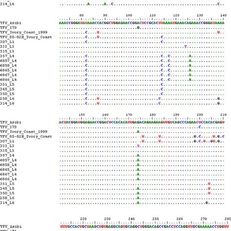 Rna Sequence Alignment Of The 3 Nontranslated Region 3 Ntr Of