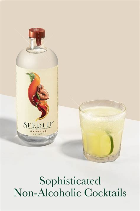 Sophisticated Non Alc Cocktails Artofit
