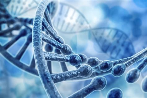 Tbe Buffer Trade Collection Inc