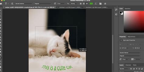 How To Add Text To A Photo 3 Ways