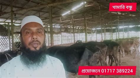 গরু মোটাতাজা করতে রেপসিড সয়ামিল বাদাম বা সরিষার খৈল কোনটি উত্তম কিসে প্রোটিন ও ফ্যাট কতো