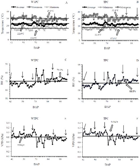 Temperature Relative Humidity And Vapor Pressure Deficit At Isaac Perdriau Blog