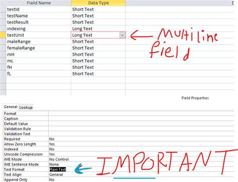 How Can I Display Multi Line Text From Access Database Into
