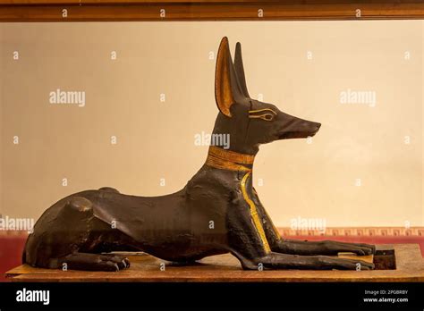 Anubis Statue Museum