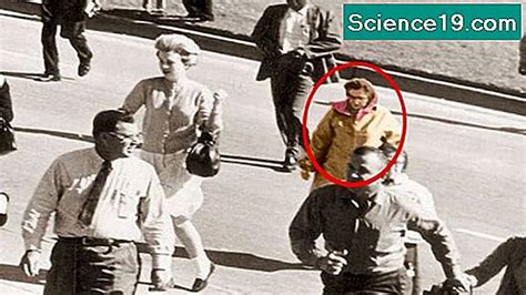 Açıklanamayan Varyans Nasıl Hesaplanır 💫 Bilimsel Ve Popüler Multimedya Portalı 2025