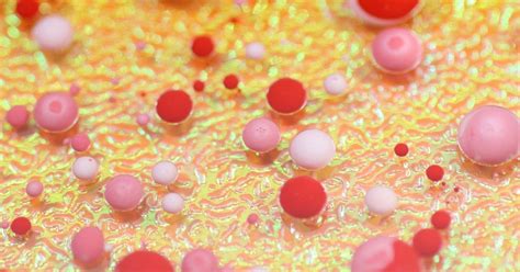 Qué Significa Un Nivel Alto De Monocitos