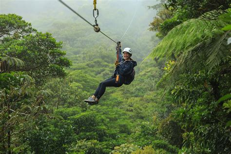 Fotos De The Original Canopy Tour Monteverde
