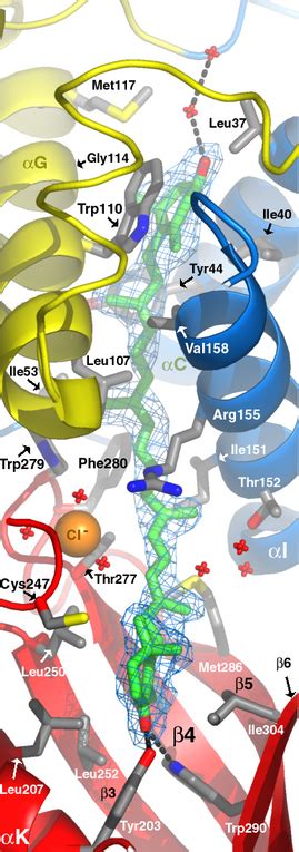 Creating A Panoramic View Of Your Model With Pymol