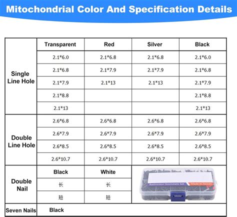 Pilipane Universal Badminton Racket Grommets Stringing India Ubuy