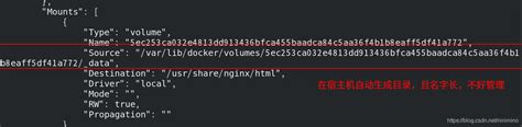 Docker数据卷的管理bind Mount ； Docker Managed Volume；convoy卷插件的安装，使用