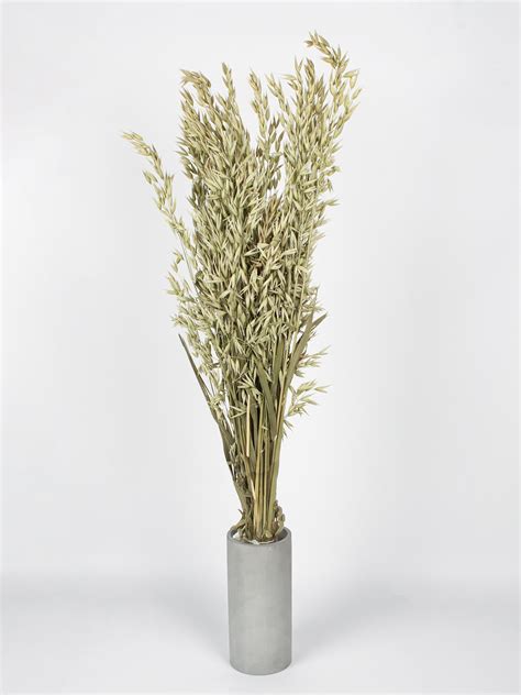 Пальмовий лист спис натуральний висота 60 70 см купити в Україні за низькою ціною • Dfb Elements