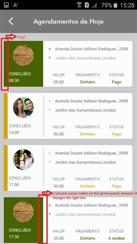 panel corner radius panel inside a panel b4x programming forum