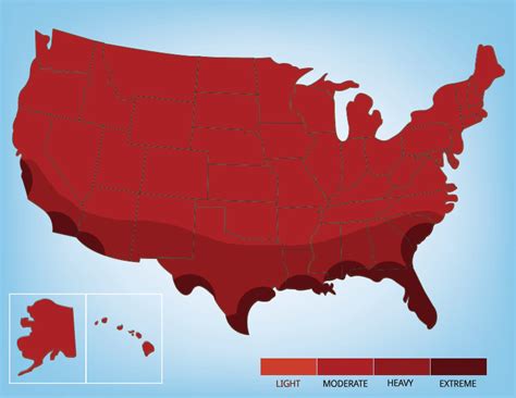 What Do Fruit Flies Look Like Fruit Fly Identification And Anatomy