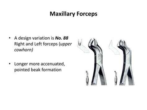 Ppt Instrumentation For Basic Oral Surgery Powerpoint Presentation