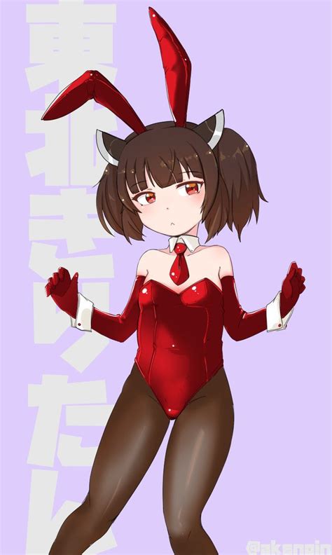 Tohokuzunko Pic — Rt Akenoin バニーきりたん 東北きりたん