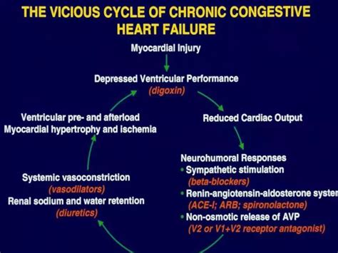 Chronic Chronic Systolic Heart Failure