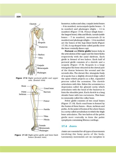 NCERT Book Class Biology Chapter Locomotion And Movement PDF AglaSem