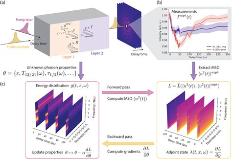 workflow for learning phonon transport properties from ultrafast