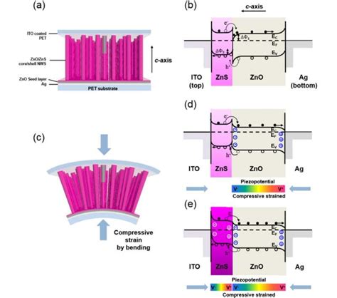 A Schematic Diagram Of A Flexible Zno Nw Piezoelectric Nanogenerator Download Scientific