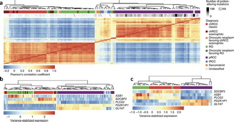rna seq based classification of nccrccs a unsupervised clustering of